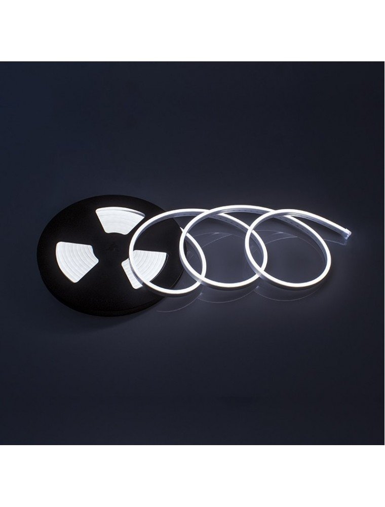 24V Neon Flex (100 LED/m 5m roll), 24V DC, IP65, 12W/m 3000K