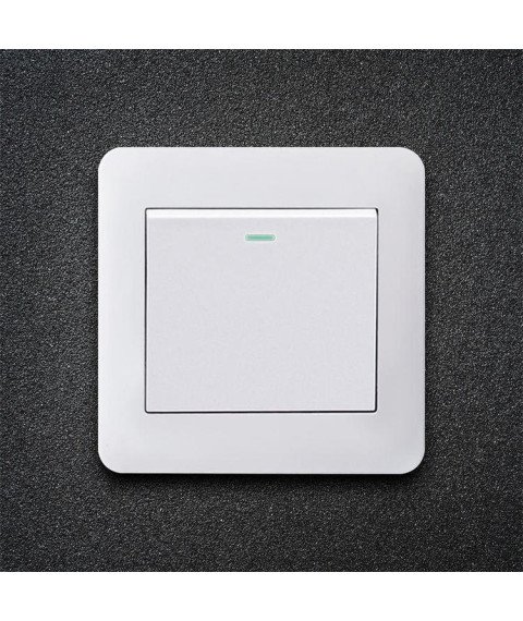 Plastic Switch TT-1 Gang 2 Way-WHITE